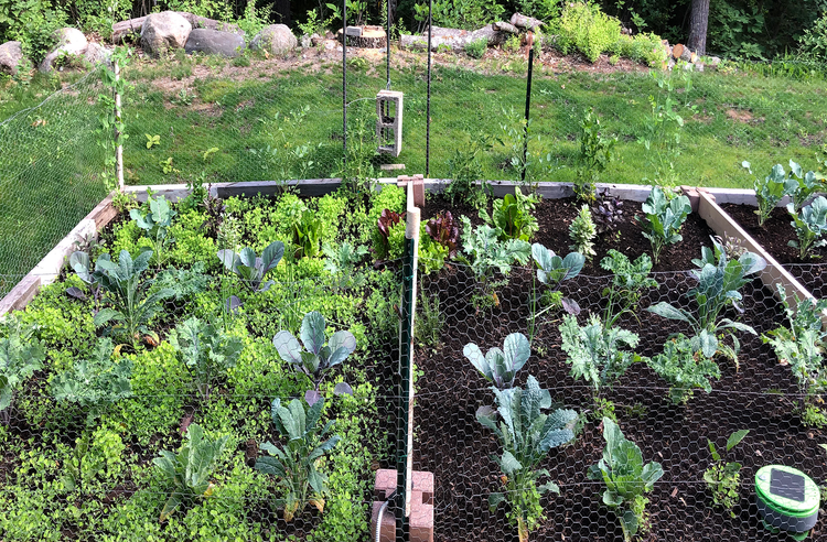 Garden Happy - It's Easy With Tertill!